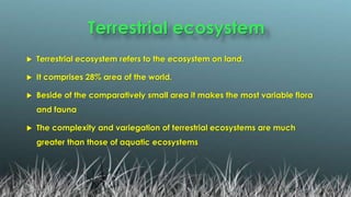 A brief presentation on Terrestrial Ecosystem | PPT