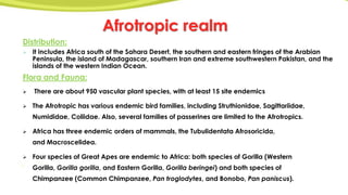 group10terrestrialecosystem-150703062603-lva1-app6892 (1).pdf