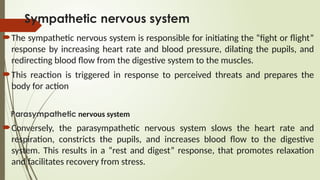 group 10 THE CHEMISTRY OF THE AUTONOMIC NERVOUS SYSTEM.pptx