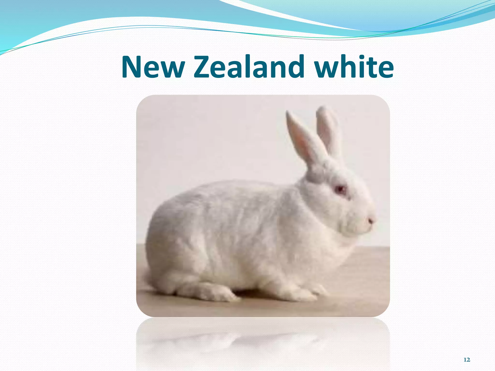 Different Breeds Of Domesticated Farm Animals And Their Characteristics ...