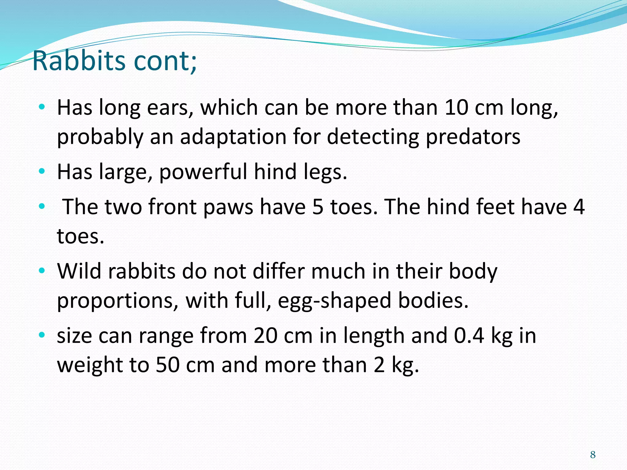 Different Breeds Of Domesticated Farm Animals And Their Characteristics ...