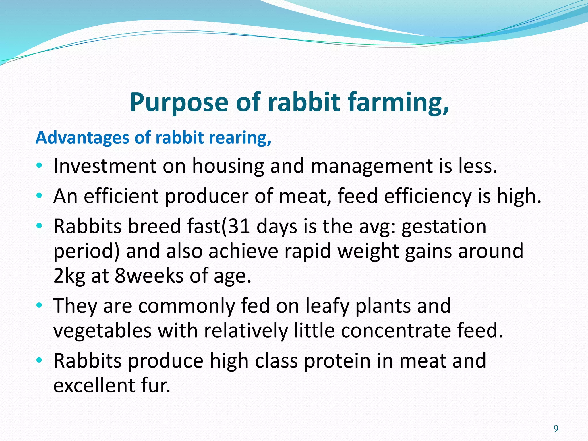 Different Breeds Of Domesticated Farm Animals And Their Characteristics ...