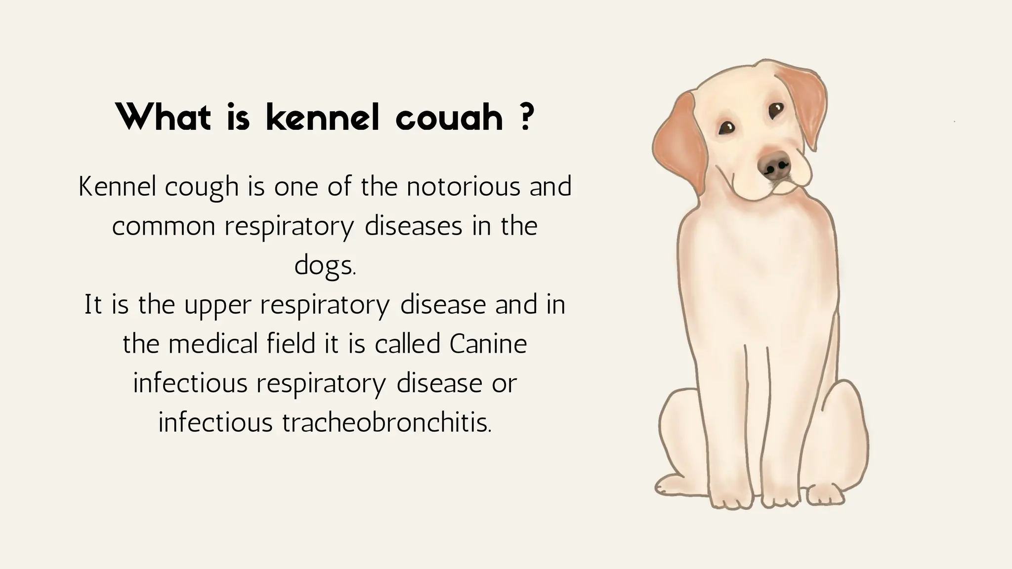 kennel cough in dogs , upper respiratory infection | PPTX