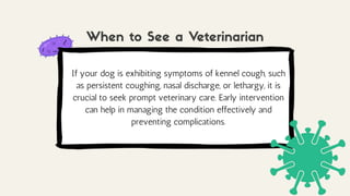 kennel cough in dogs , upper respiratory infection | PPTX