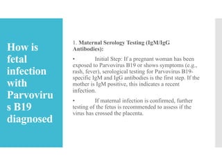 group12 presentation for general pathology | PPT
