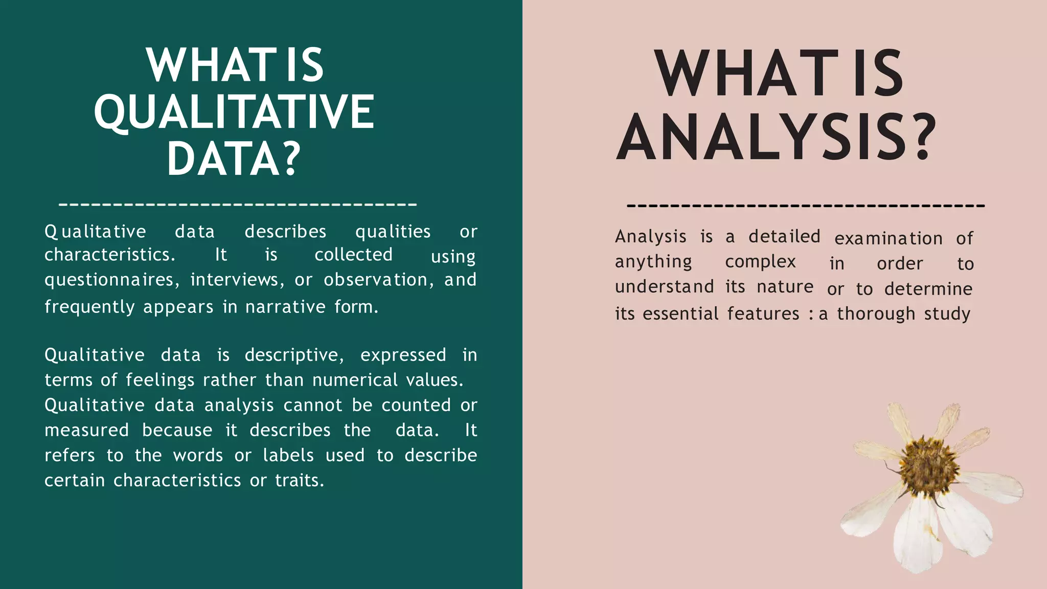 Group 12_ Qualitative Data Analysis.pptx