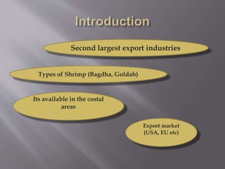 Exporting Shrimp from Bangladesh | PPT