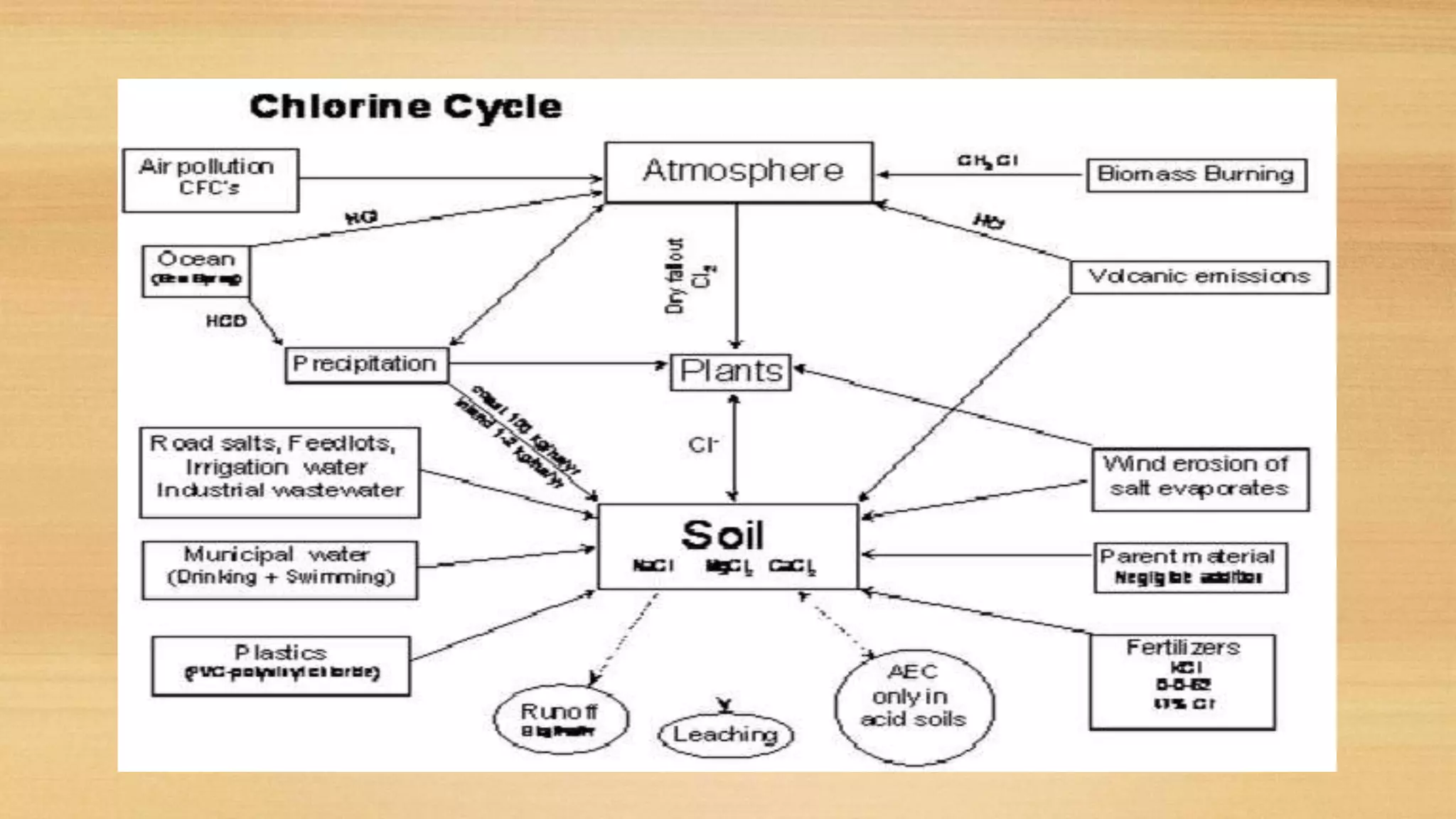 Role of Chlorine in plants | PPTX