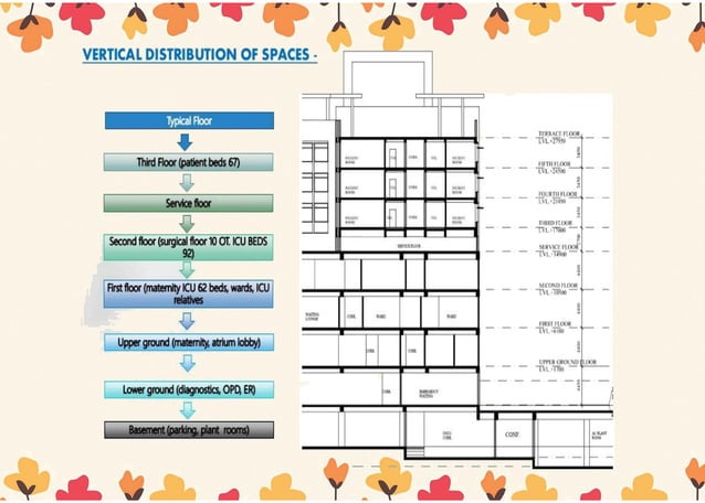 HOSPITAL CASE STUDY | PDF | Healthcare Industry | Industries