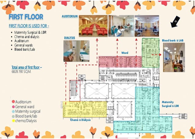 HOSPITAL CASE STUDY | PDF | Healthcare Industry | Industries