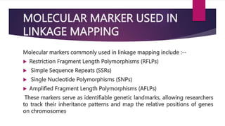 Linkage mapping molecularmarkerstechnology.pptx