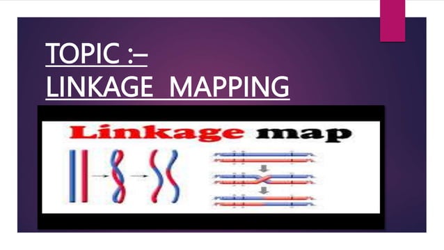Linkage mapping molecularmarkerstechnology.pptx
