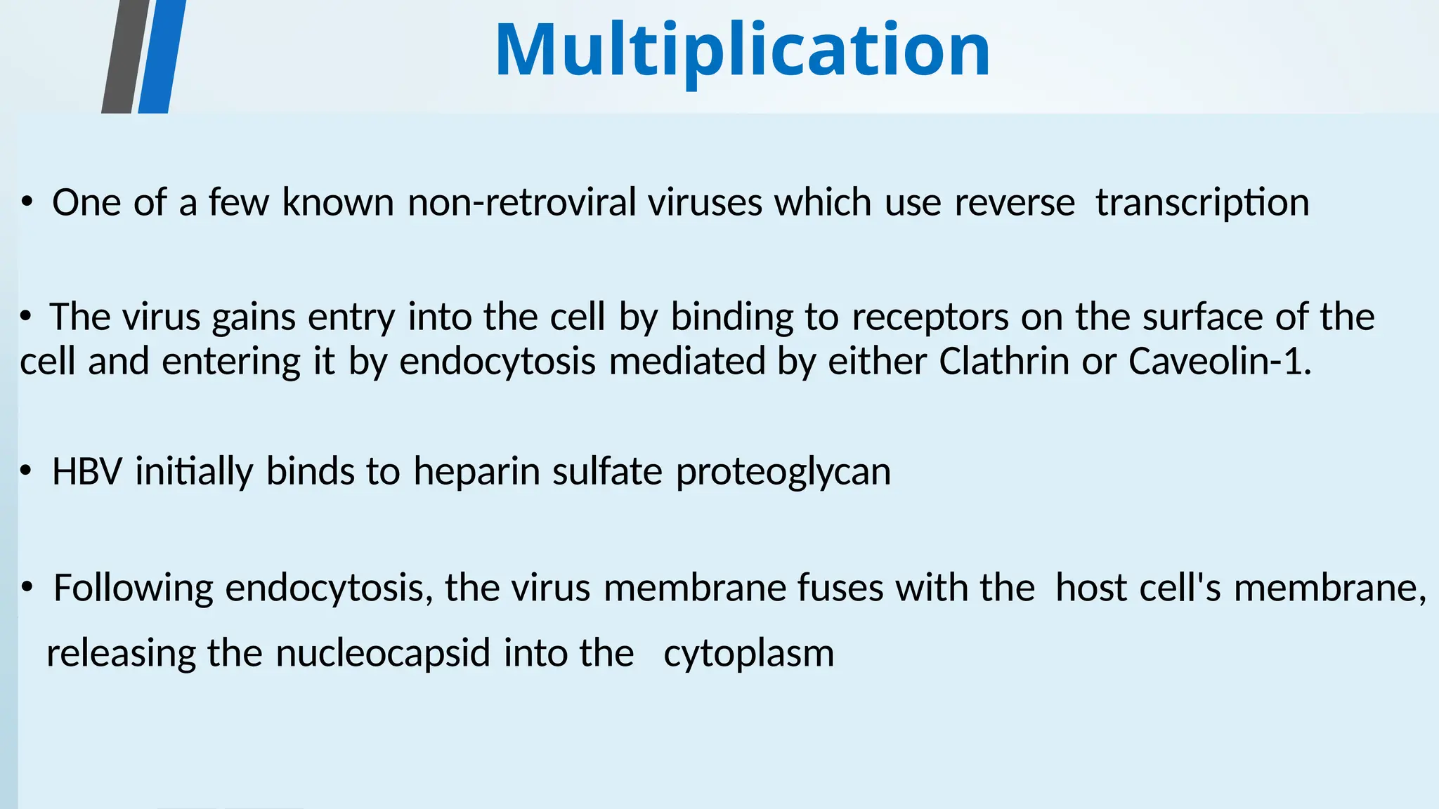 Hepatitis B and Picinaviridea viruses pptx.pptx