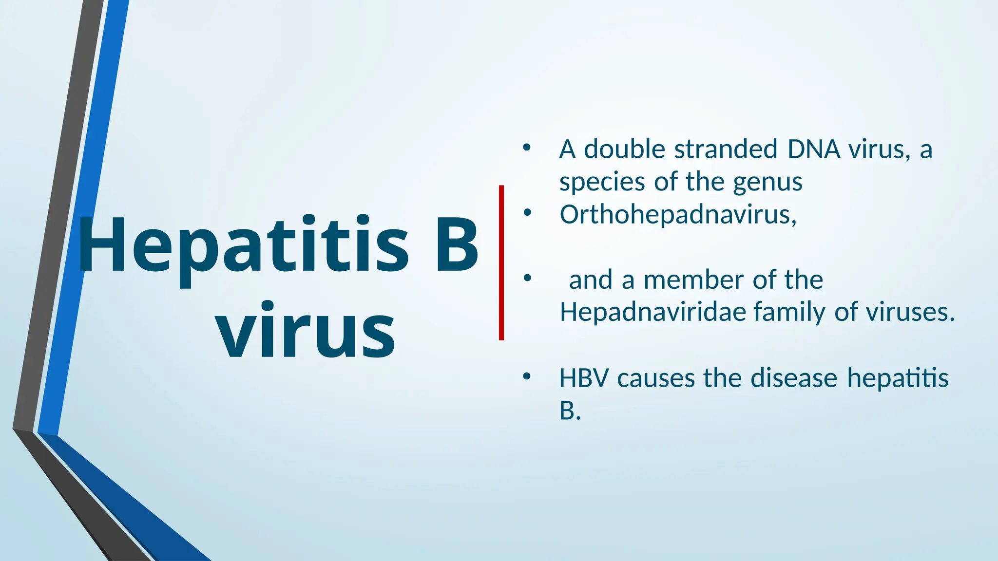 Hepatitis B and Picinaviridea viruses pptx.pptx