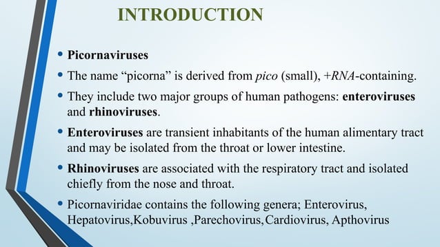 Hepatitis B and Picinaviridea viruses pptx.pptx