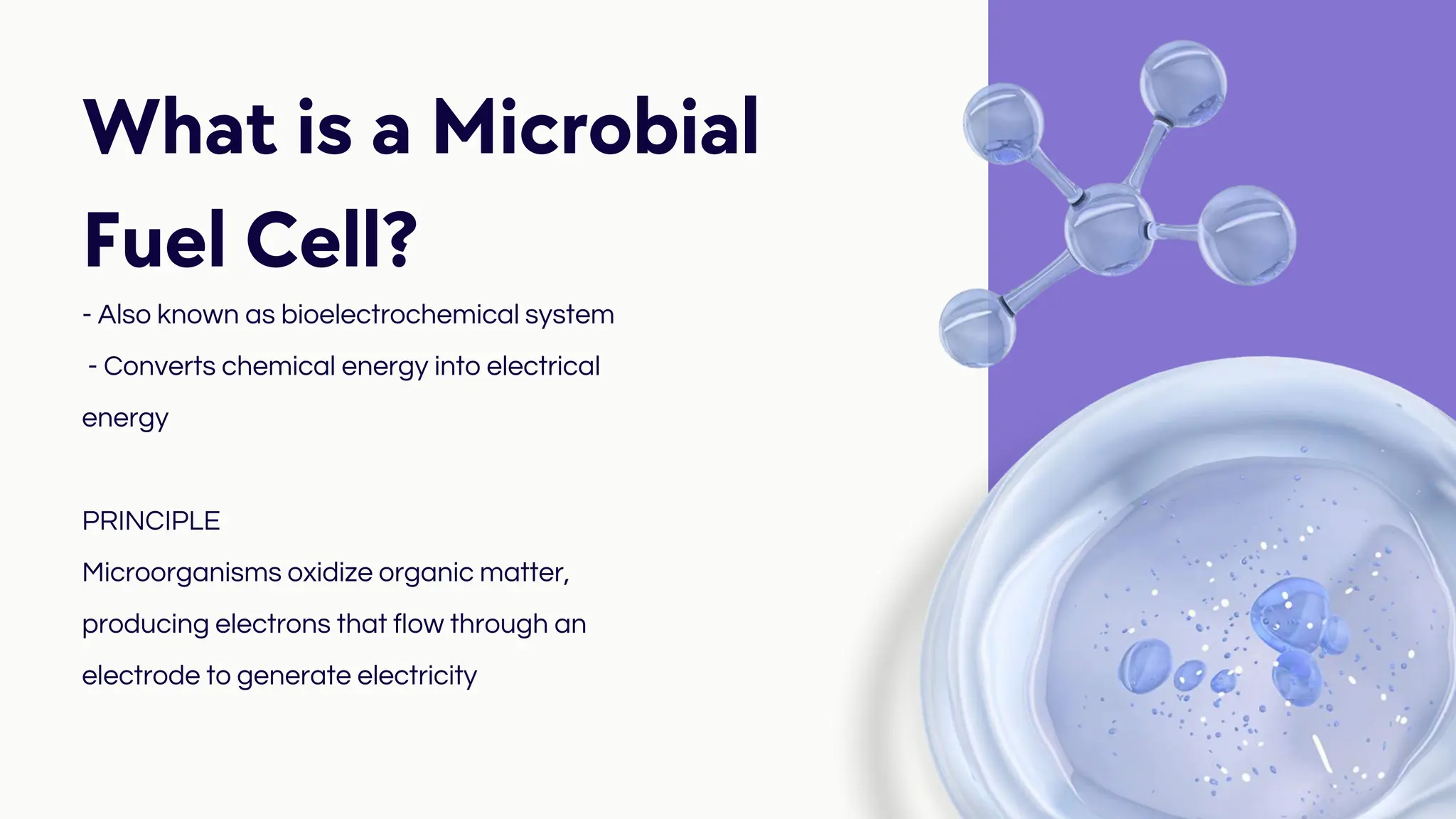 Group 14 presentation.pptx on Microbial fuel cell | PPTX