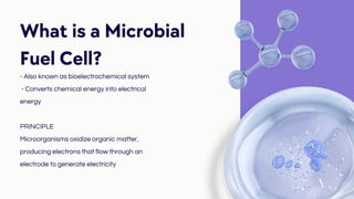 Group 14 presentation.pptx on Microbial fuel cell | PPT