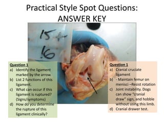 Group 15 16 module7_cat_stifle (1) | PPTX