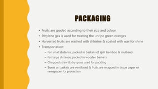 Supply Chain of Orange in India | PPTX