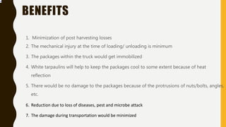 Supply Chain of Orange in India | PPTX