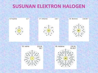 Group 17 halogen | PPTX