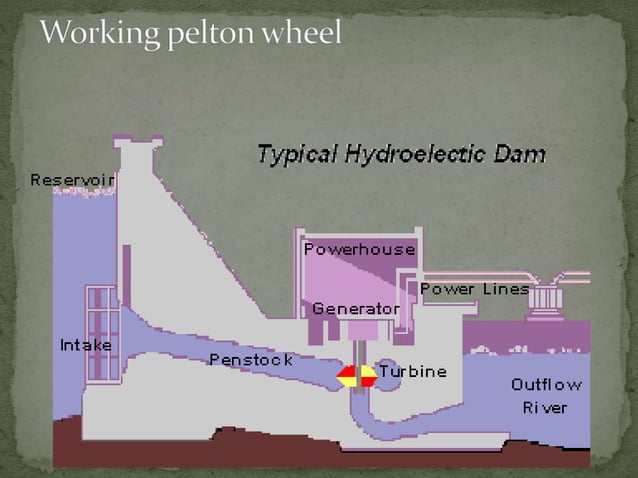 PELTON WHEEL | PPTX | Physics | Science