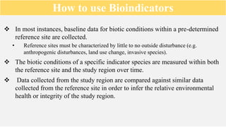 Bioindicators | PPTX