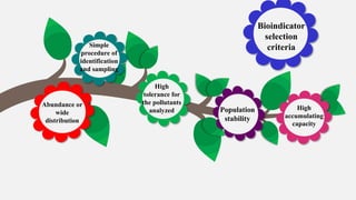 Bioindicators | PPTX