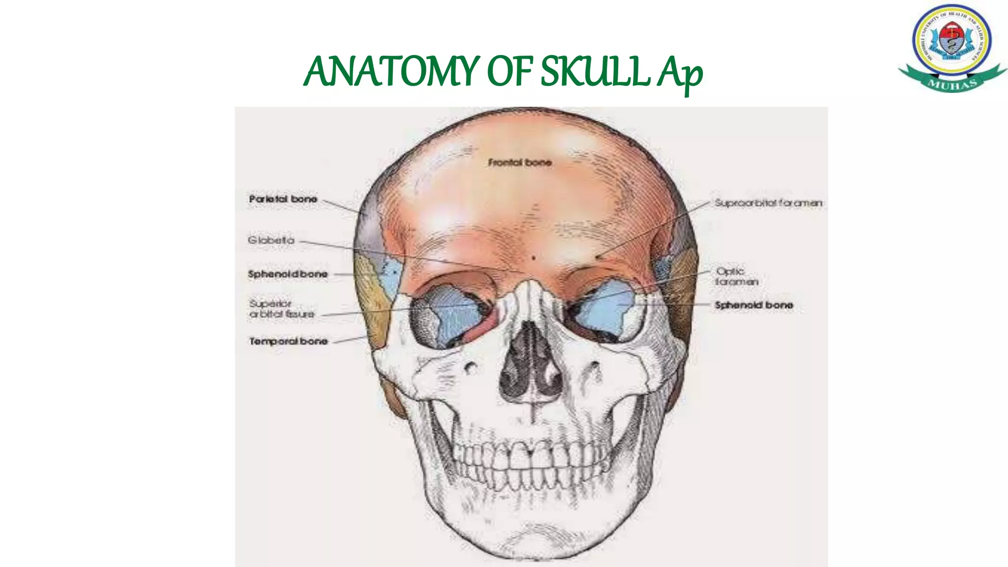 Group#1_caldwell view.pptx