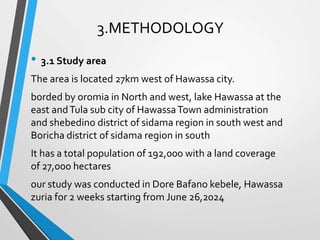 Hawassa university school of public health portifolio | PPTX