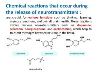 Brain morphology and chemistry drugs-2.pptx