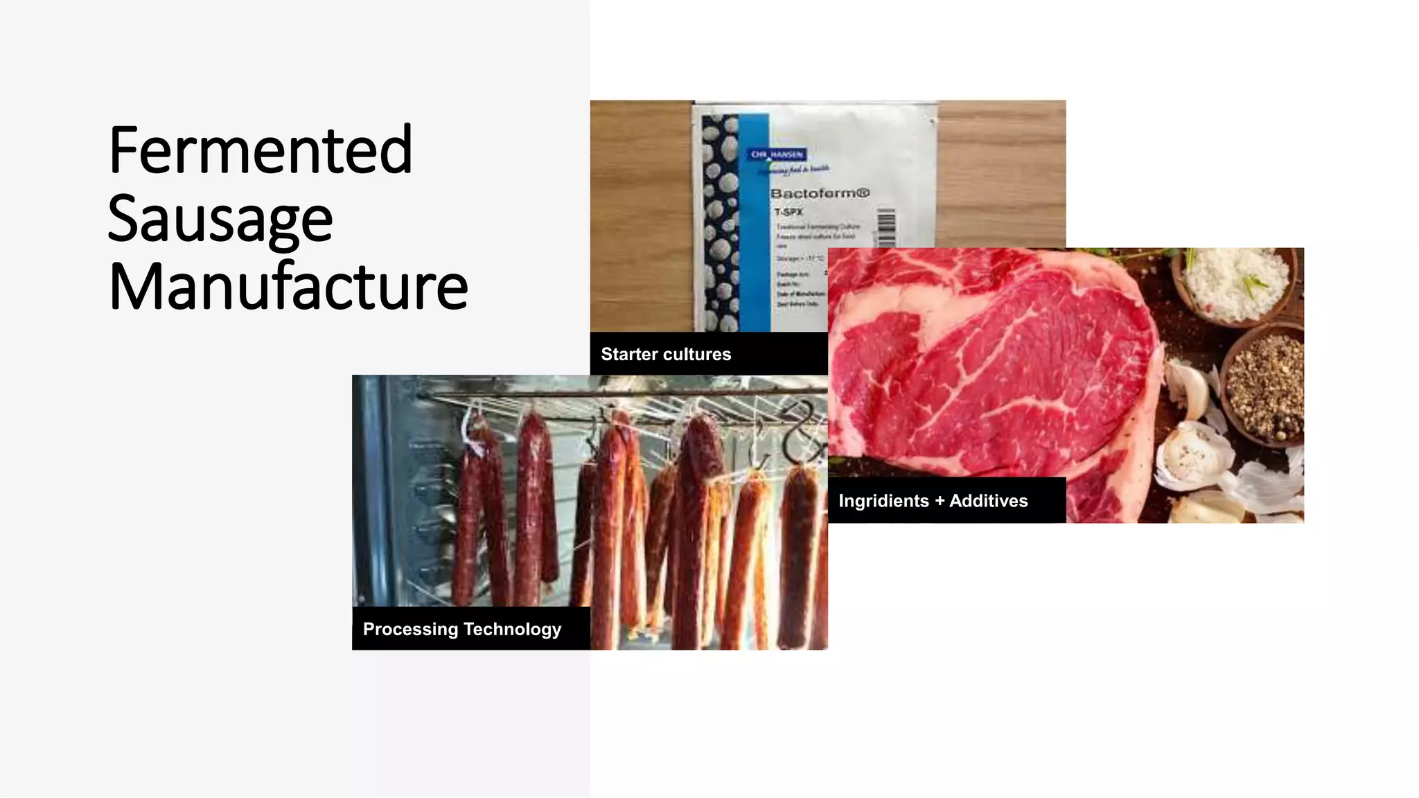 Group 1_Fermented Sausages.pptx