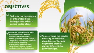 INTEGRATED PEST MANAGEMENT of rice Report Presentation | PPTX