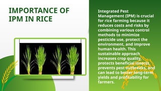 INTEGRATED PEST MANAGEMENT of rice Report Presentation | PPTX