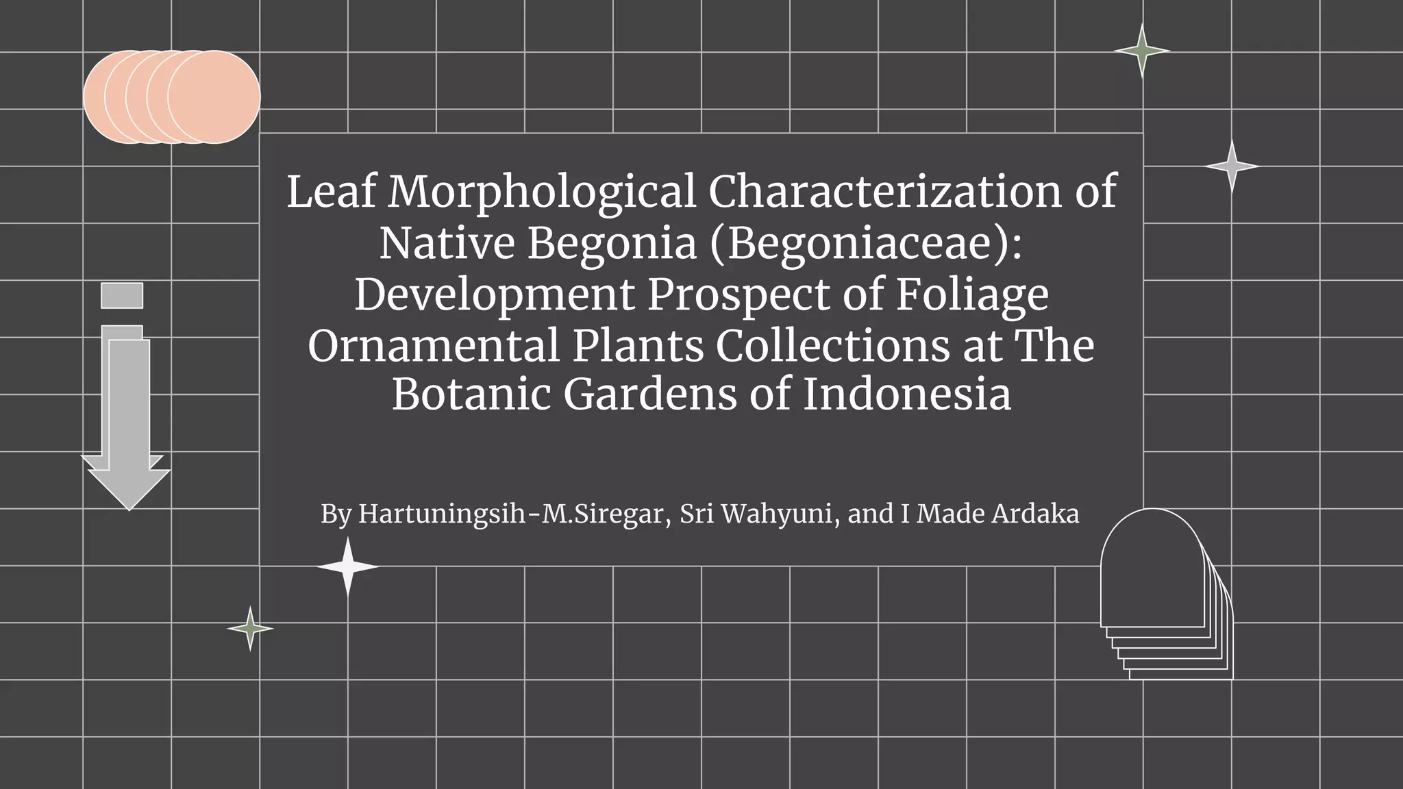 GROUP 1_LEAF MORFOLOGICAL CHARACTERIZATION OF NATIVE BEGONIA ...