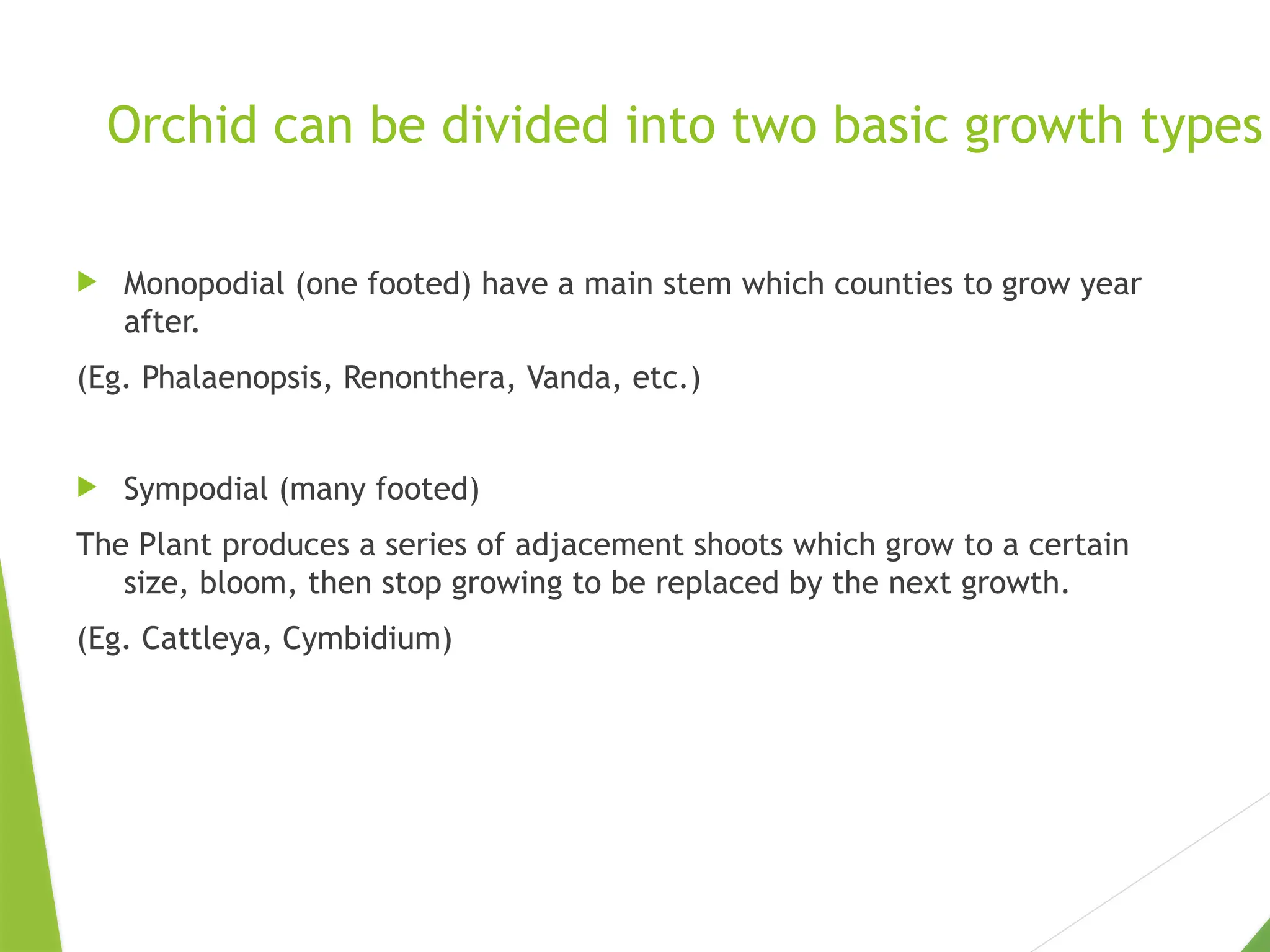 Group 1 Orchid.pptx Orchid production and it's product | PPTX