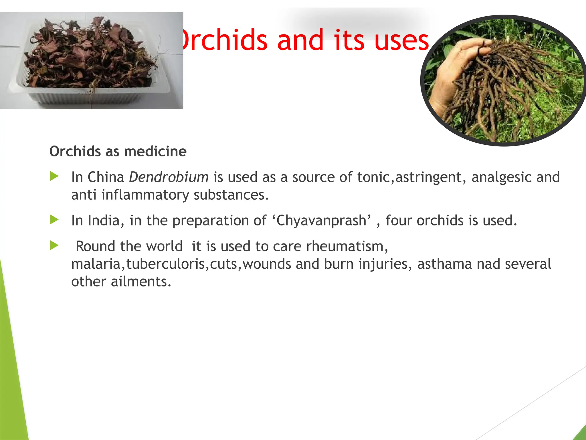 Group 1 Orchid.pptx Orchid production and it's product | PPTX