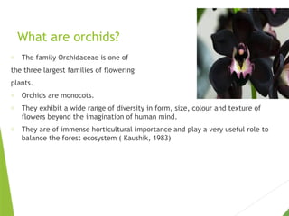 Group 1 Orchid.pptx Orchid production and it's product | PPTX