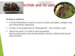 Group 1 Orchid.pptx Orchid production and it's product | PPTX