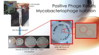 AKPAPP | PPTX | Infectious Diseases | Diseases and Conditions