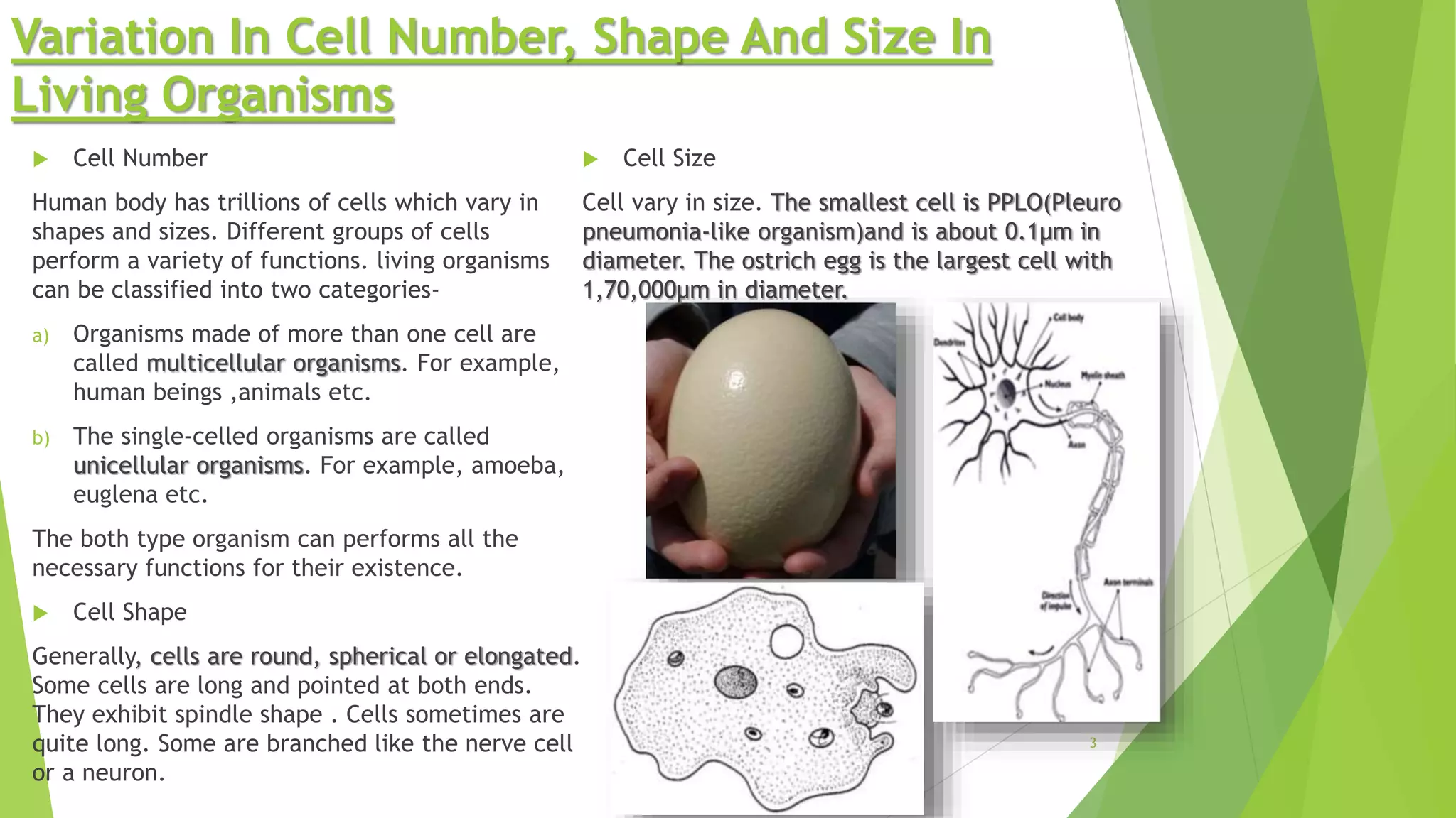Cell (The function and structural unit of life) Class-8th | PPTX