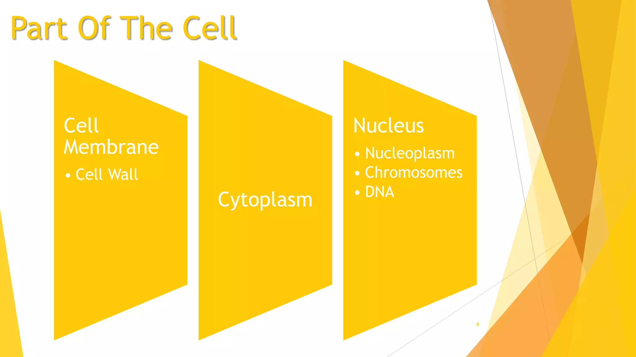 Cell (The function and structural unit of life) Class-8th | PPTX