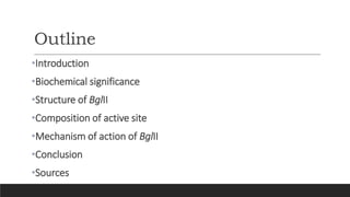 Presentation on Restriction enzyme BglII (BgIII).pptx | Chemistry | Science