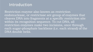 Presentation on Restriction enzyme BglII (BgIII).pptx | Chemistry | Science