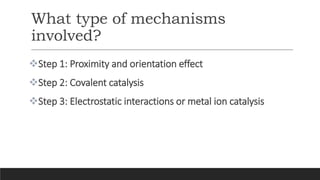 Presentation on Restriction enzyme BglII (BgIII).pptx | Chemistry | Science