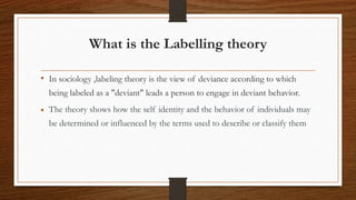 Group 1 presentation sociology | PPTX