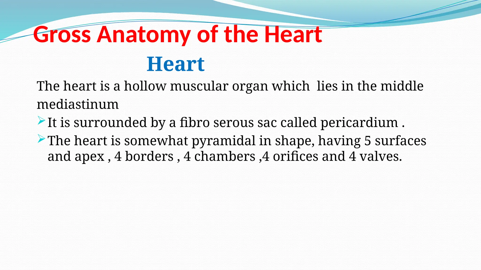 Group 1Radiological Anatomy Of the heart and great vessels.pptx