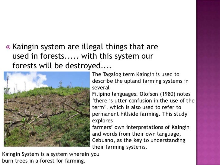 Group 1 science project