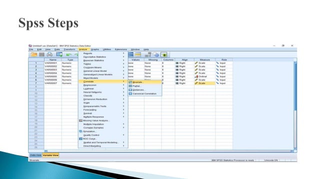 SPSS- Output and Interpretation | PPTX