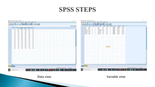 SPSS- Output and Interpretation | PPTX